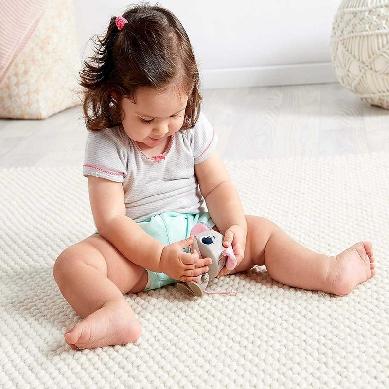 Brinquedo Interativo Wonder Buddies Tiny Love Coco