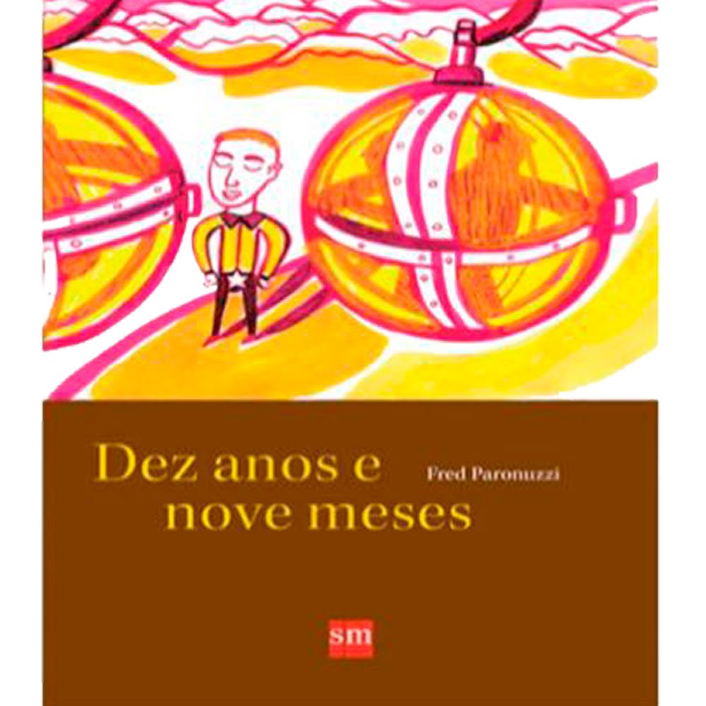 Livro Dez Anos E Nove Meses Editora SM (MP)