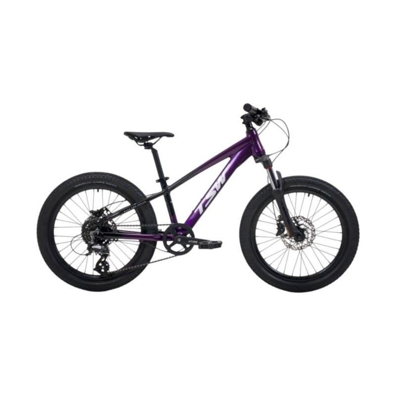 Bicicleta JPP TSW Hunch Altus Aro 20 8 Velocidades Violeta E Preto (MP)